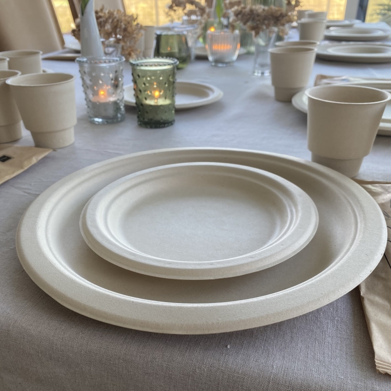 Disposable plate made from natural fiber for gastro & events